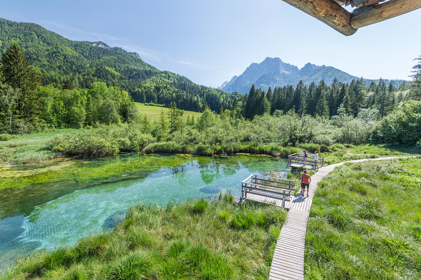 Zelenci - AmazingWorldSites.com